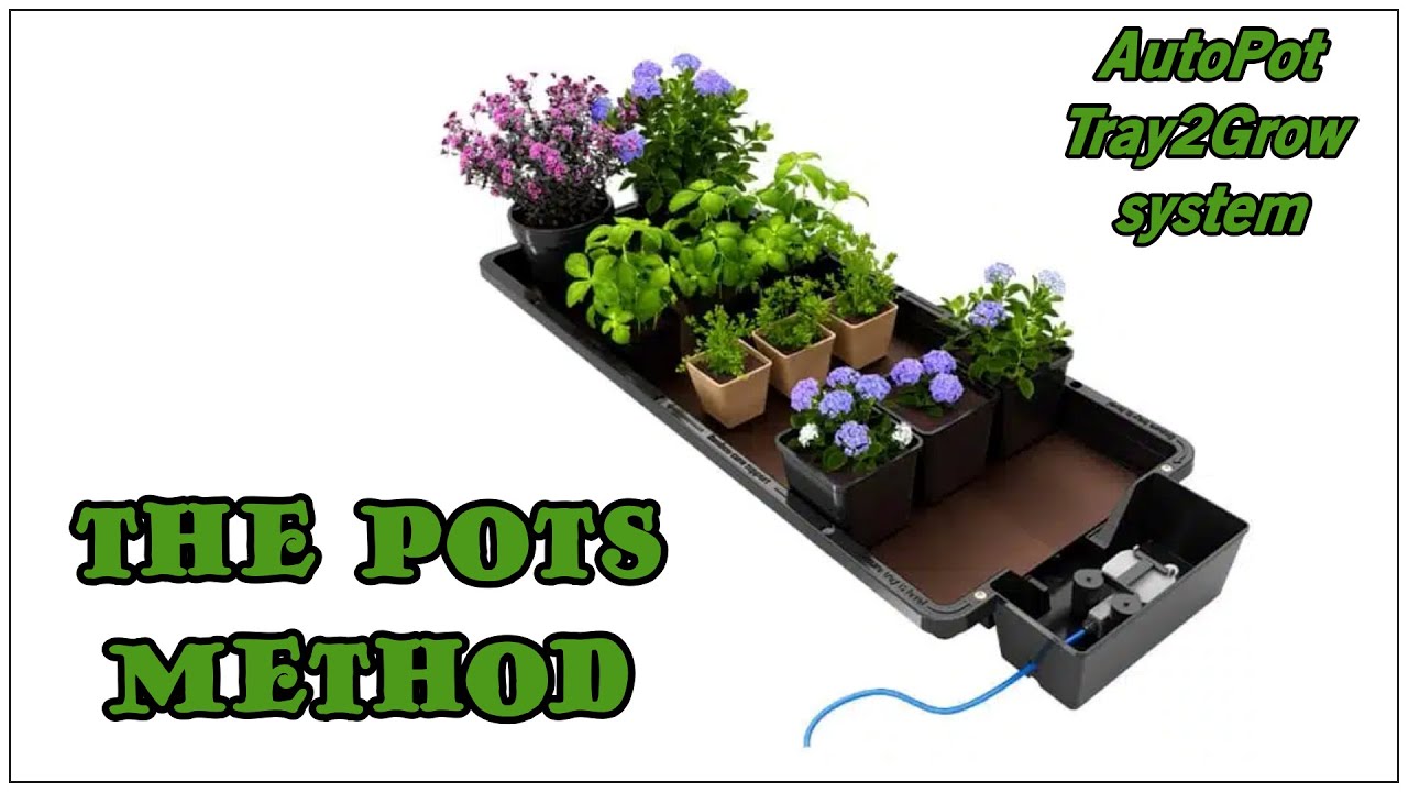 Setup the AutoPot Tray2Grow with Pots method to grow Lettuce/Bok Choi w ...