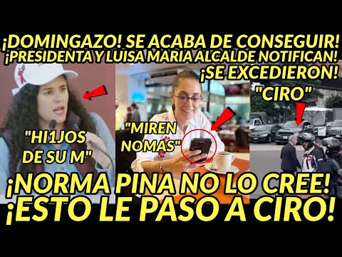 DOMINGAZO NACIONAL! SE ACABA DE CONSEGUIR ESTO LE PASO A CIRO SALE ...