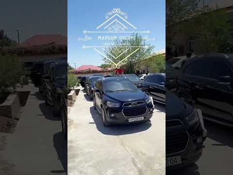 #urganch #toy #bezaklari #kaptiva #xizmatlari #94 316 66 66