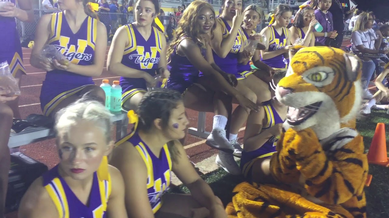 Westgate Tiger Band - YouTube