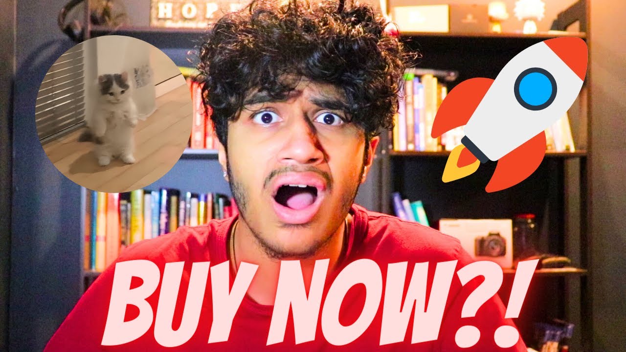 THIS CAT COIN COULD 10X!! $MICHI REVIEW!! MICHI MEMECOIN PRICE ...