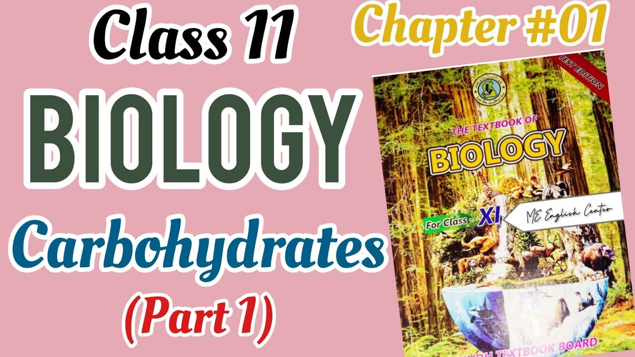 Carbohydrates -11th Biology Chapter #01 Biological molecules (Part 1 ...