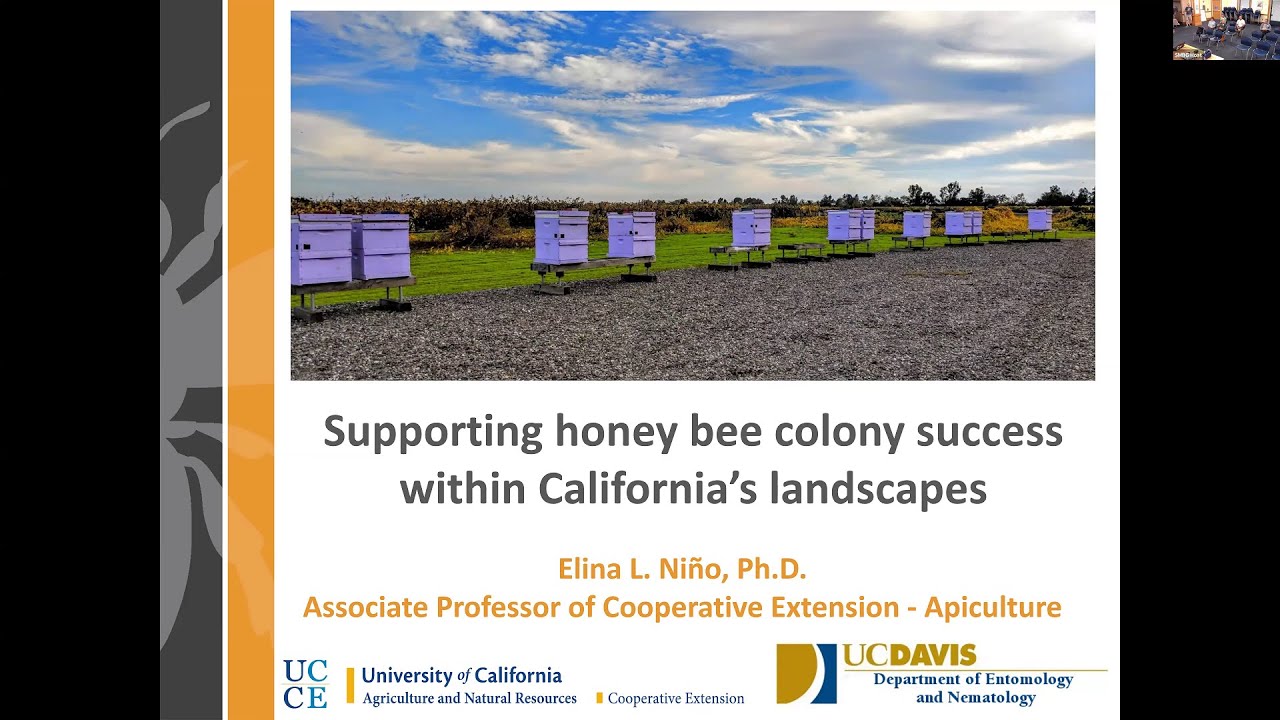 Elina L. Niño - UC Davis Research Updates October 2023 - YouTube