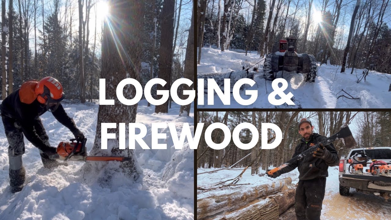 Finishing up a logging job and firewood 🪵 - YouTube
