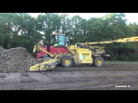 sugar beet loading with a ROPA EURO MAUS 4 INTO THE NETHERLANDS - YouTube