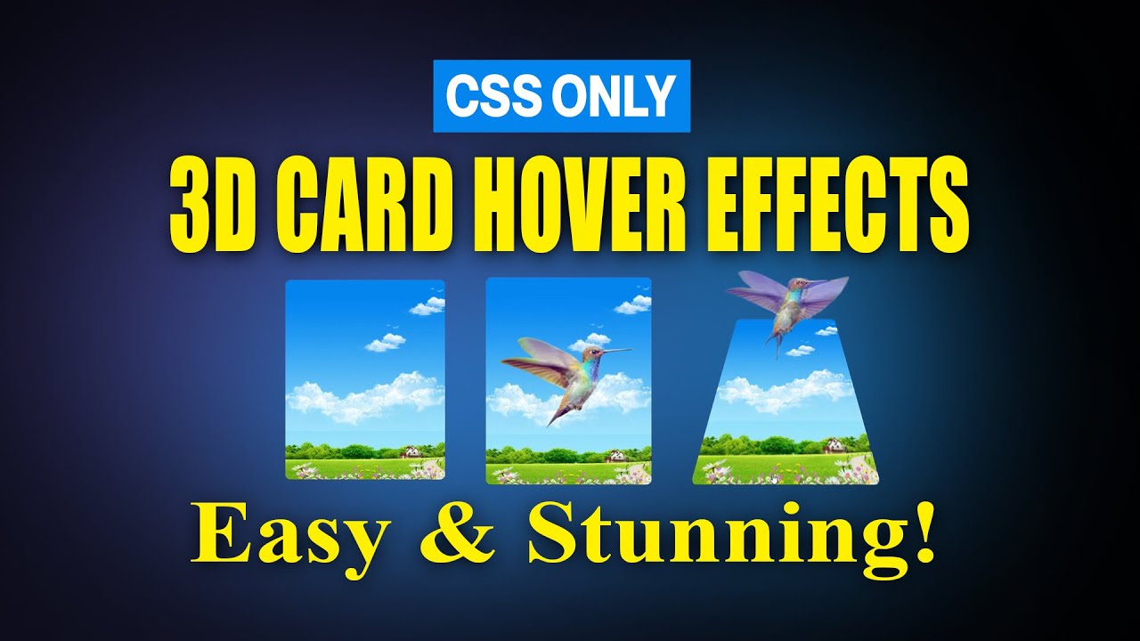 Stunning 3D CSS Card Hover Animation | CSS Transform & Animation Effects - YouTube