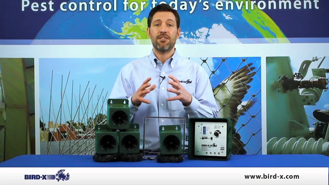 Bird-X Broadband PRO Product Video - YouTube