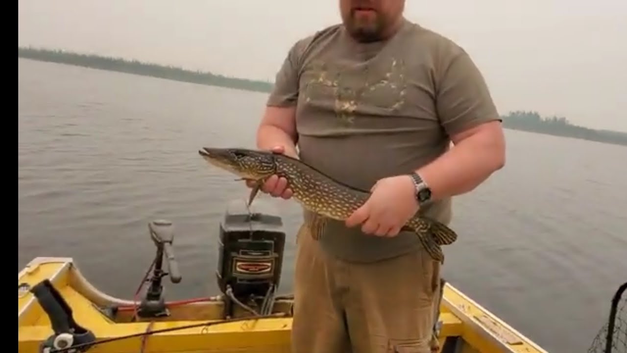 Crazy Awesome Pike Fishing. On a north alberta lake - YouTube