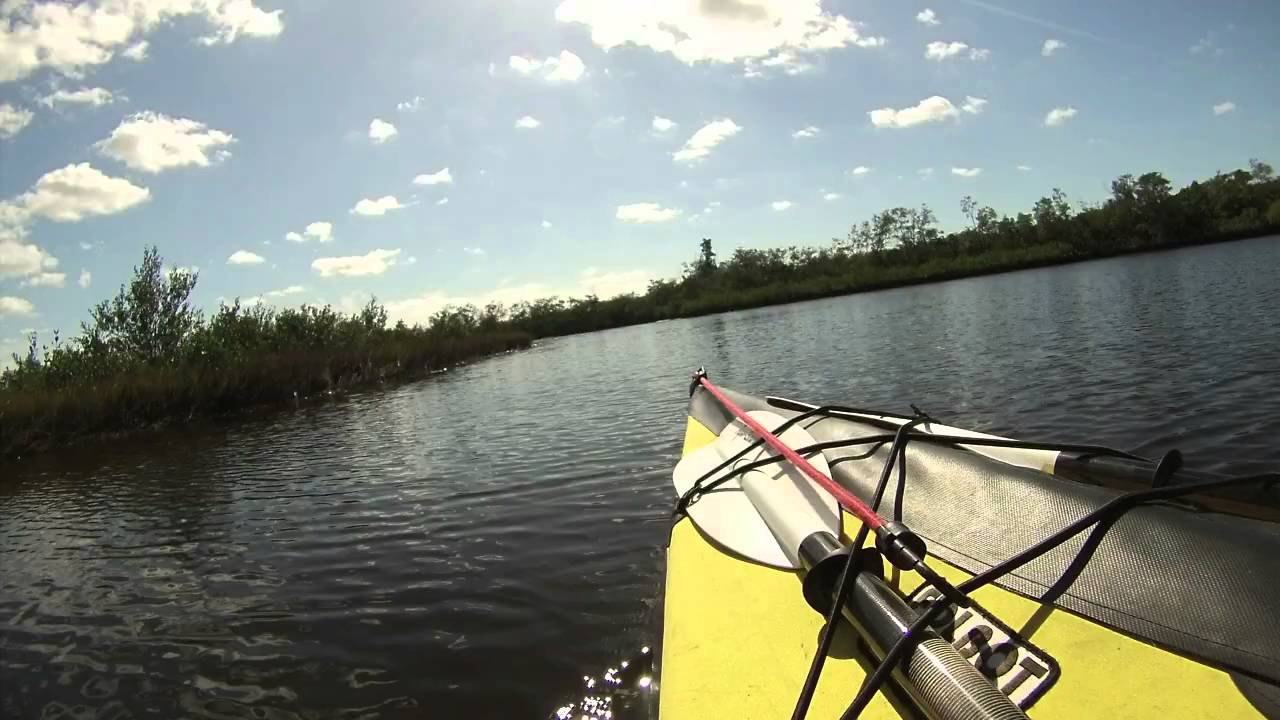 Robinson Preserve-Perico Bayou - YouTube