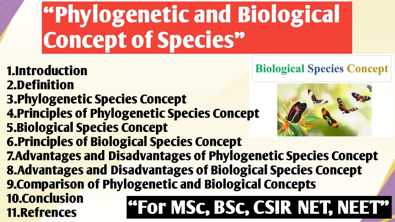 Phylogenetic and Biological Concept of Species | Phylogenetic Species ...