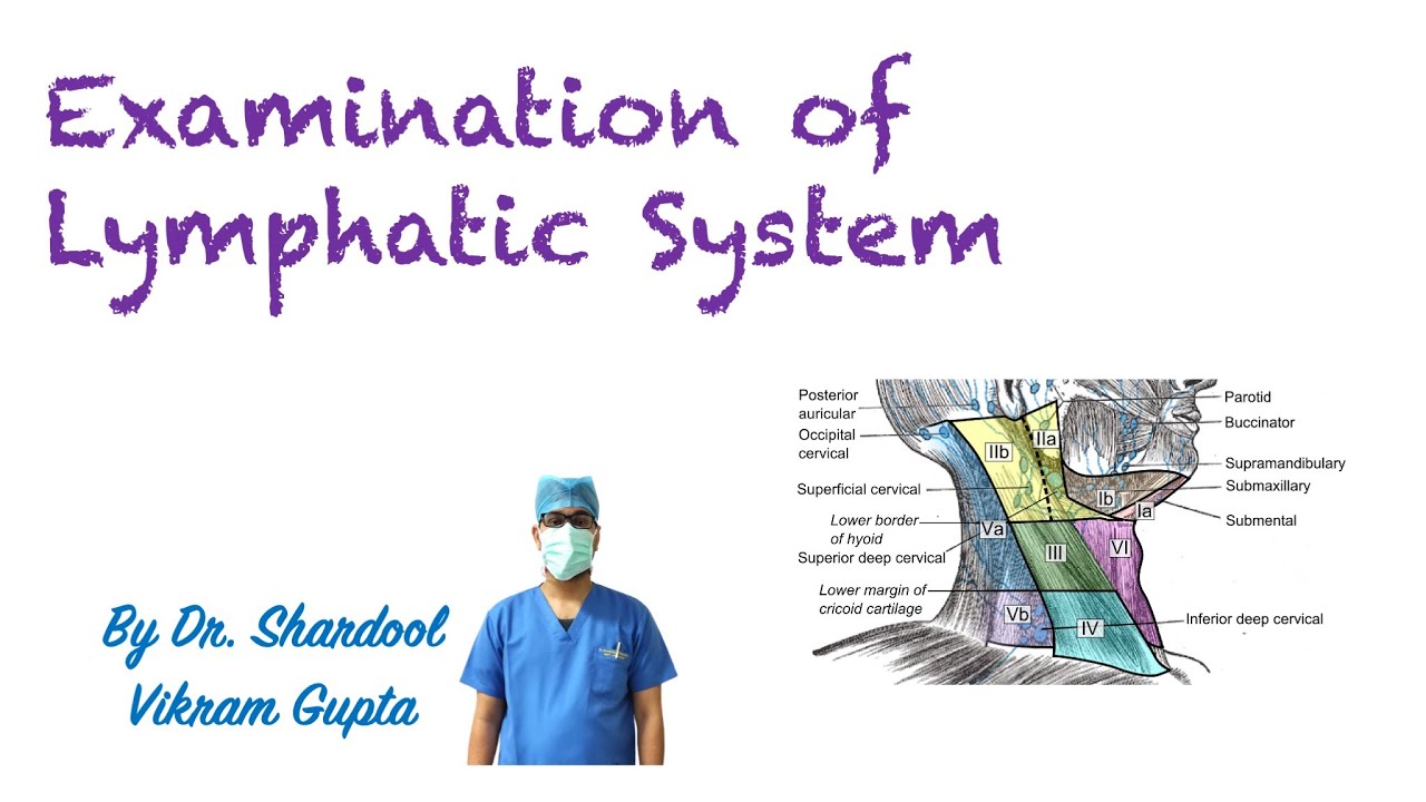 Examination of lymphatic System - YouTube