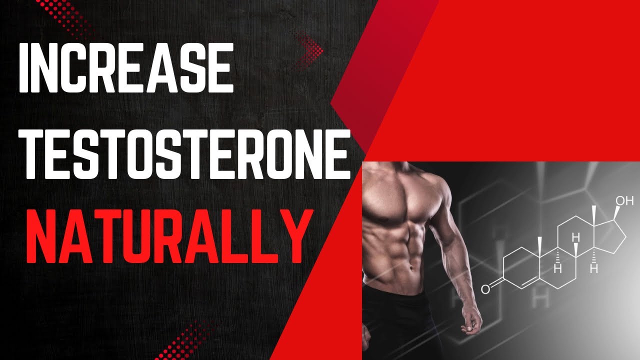 5 ways to increase testosterone naturally - YouTube