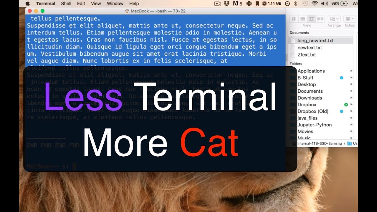 Terminal Cat More Less - YouTube