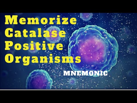 Catalase Positive Organisms Mnemonic - YouTube