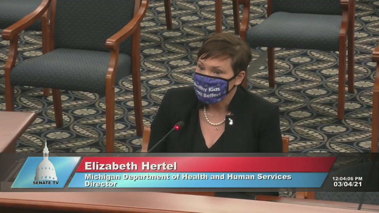 MDHHS Director Elizabeth Hertel testifies before Senate Advice and ...