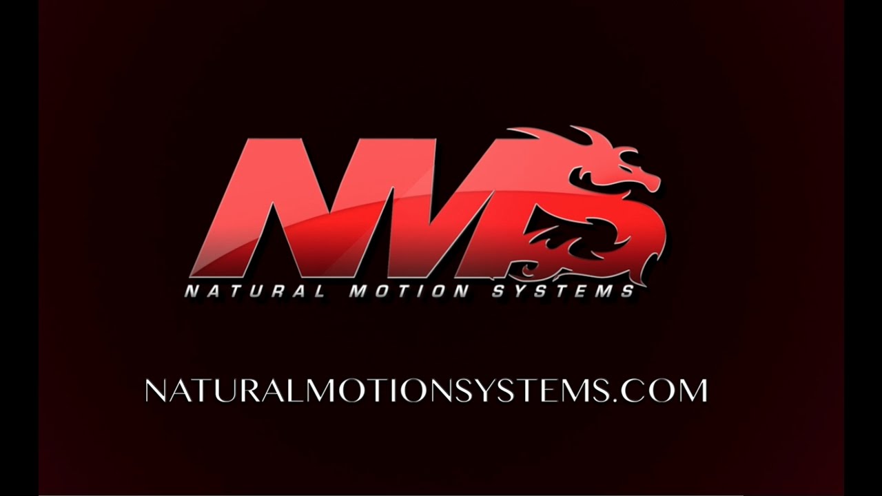 Natural Motion Systems - YouTube