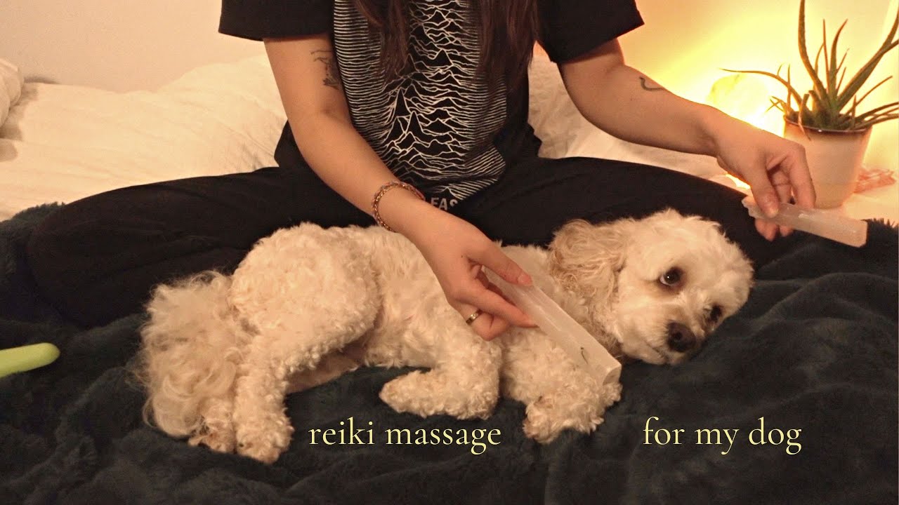 ASMR Reiki Massage on my Dog (Chakra Cleansing, Crystals, Hand ...