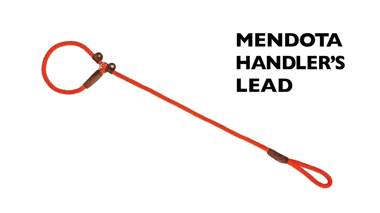 Mendota Handler Lead - YouTube