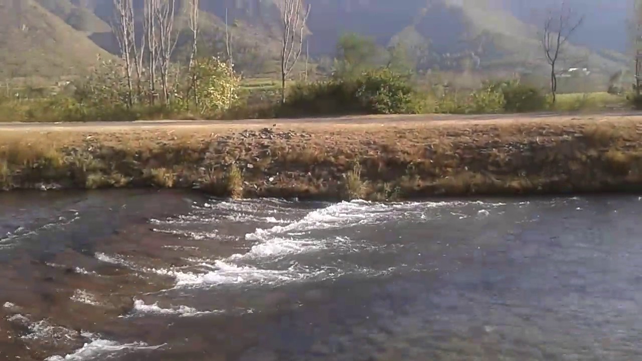 Talha Jan of palosi baba - YouTube