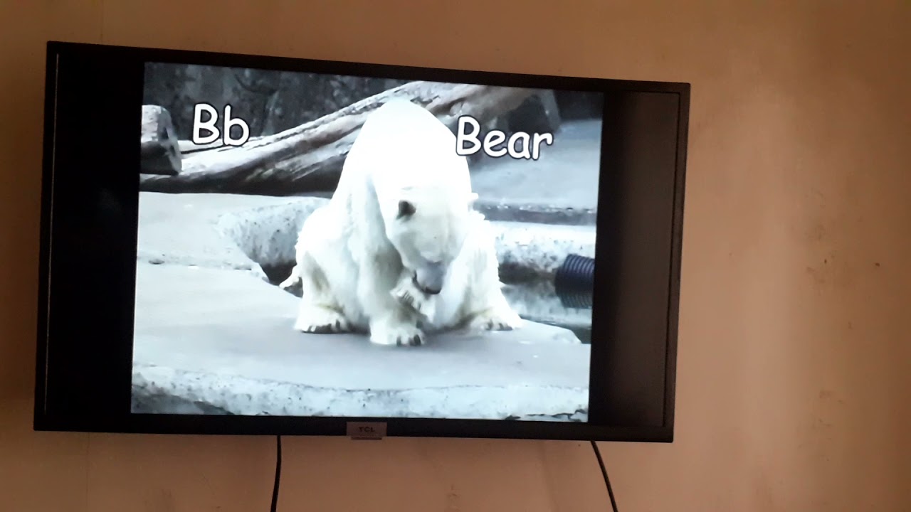 Galloping Minds Preschooler Learns: Alphabet and Phonics: (2009) Letter ...