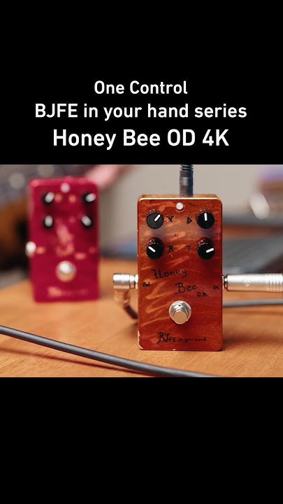 One Control BJFE in your hand series Honey Bee OD 4K yusさんによるデモ動画公開！#shorts - YouTube