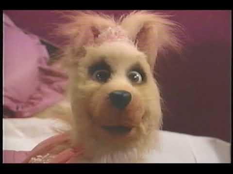 Toby Terrier and His Video Pals Time For a Party