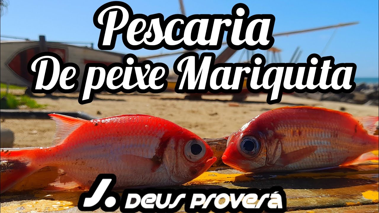Pescaria de peixe Mariquita - YouTube