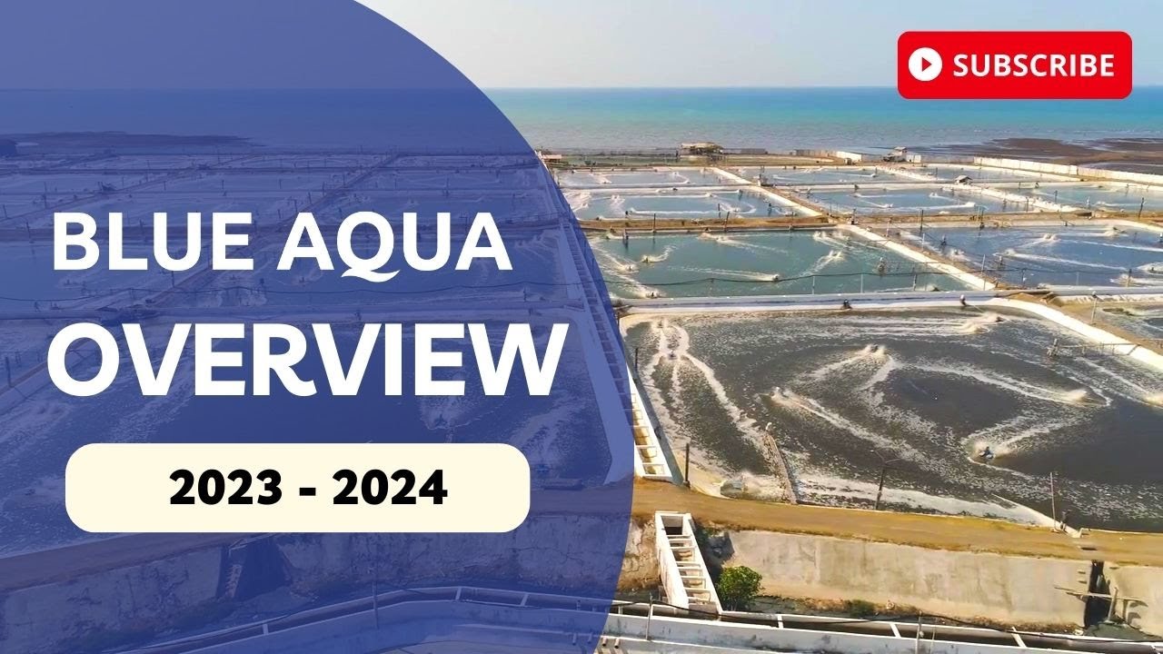 Blue Aqua Company Overview (2023 - 2024) - YouTube
