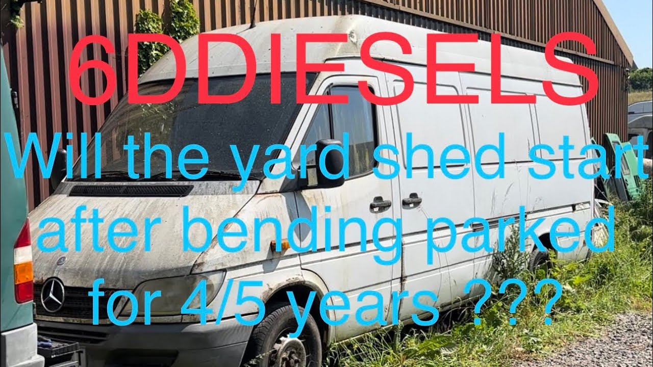 Will this old van start for the first time in years!!! Yard clear up ...