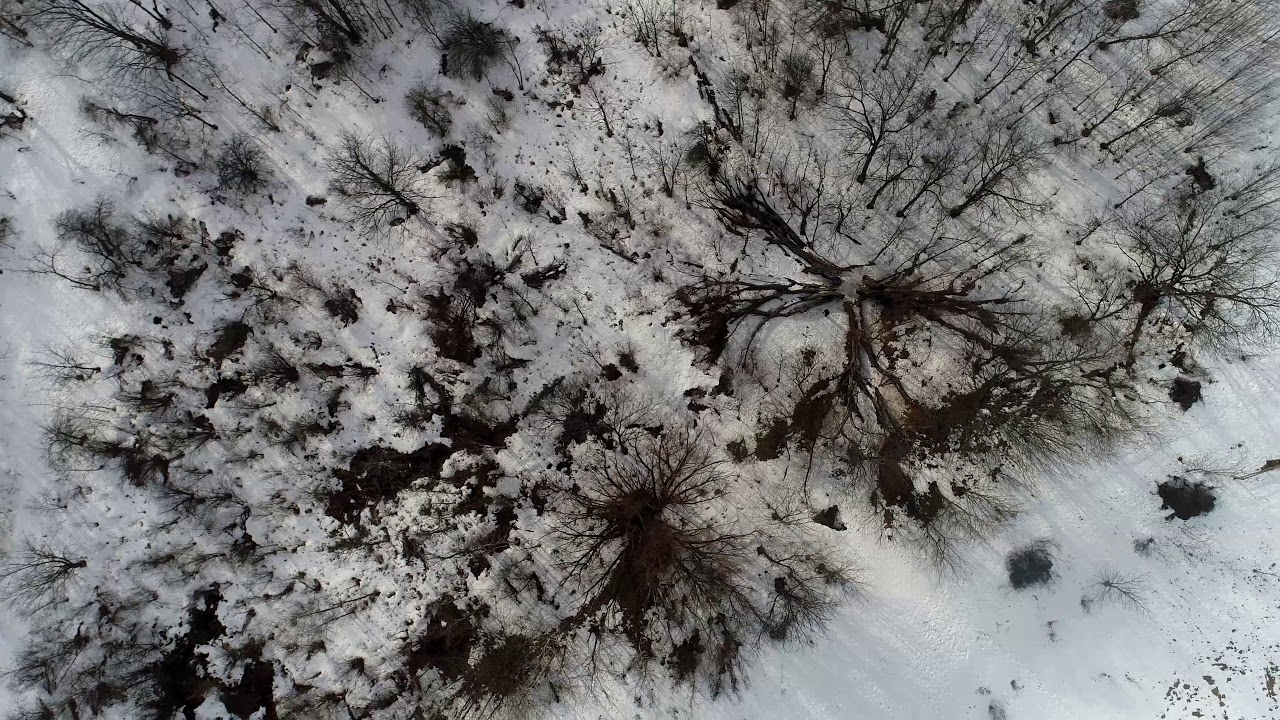 Drone View - Hippie Tree - Traverse City, Michigan - Sky High - Winter ...