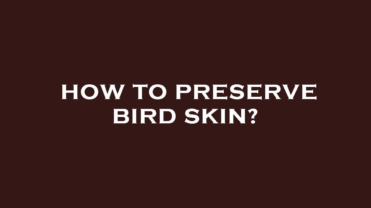 How to preserve bird skin? - YouTube