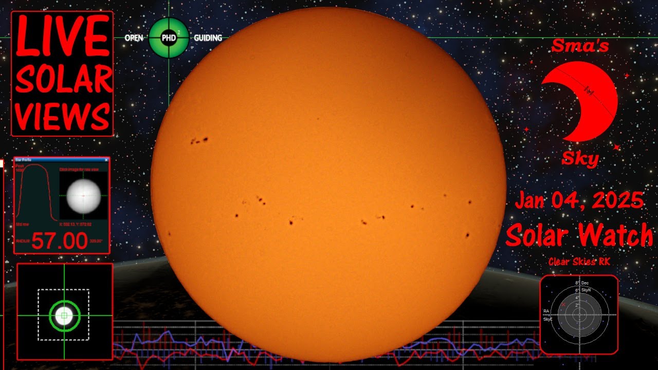 🌞 Live! Sun Through the Trees and Clear Skies!🌞| 2025-01-04 - YouTube