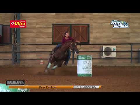 3 TAMBORES - CAMILA BORGES - CUP CAKE FAME EK 17.329