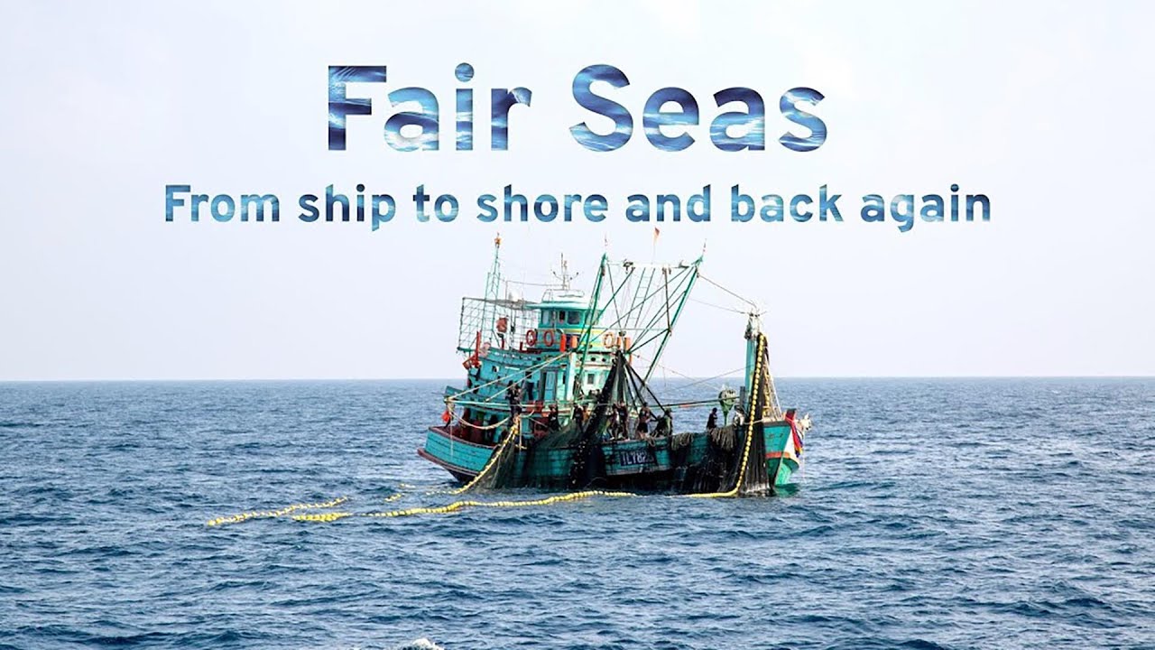 Fair Seas - From ship to shore and back again - YouTube