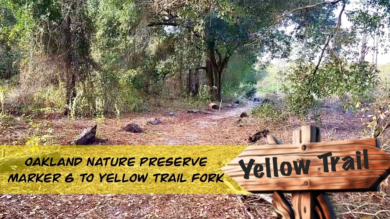 YELLOW TRAIL: Marker 6 to Yellow Trail Fork in Oakland Nature Preserve ...