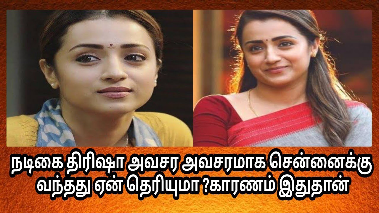 நடிகை திரிஷா அவசர அவசரமாக சென்னைக்கு வந்தது ஏன் தெரியுமா காரணம்