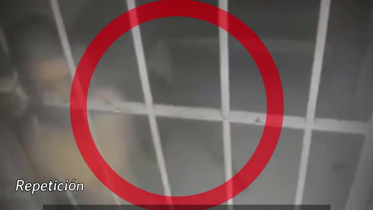 5 videos de TERROR REALES EXTREMO VIDEOS DE MIEDO EXTREMO AL MAXIMO ...