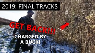 Deer Tracking | Shane Simpson Hunting