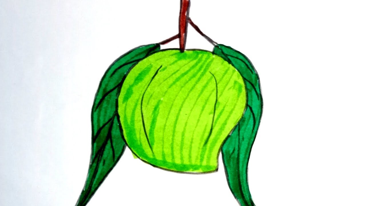 How To Draw Mango ll How to draw mango for kids easy step by step - YouTube
