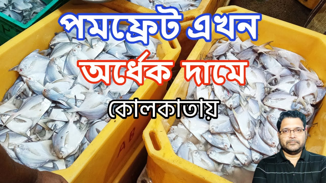 Pomfret Fish Now Very Cheap In Price | Sealdah Fish Market | Kolkata ...