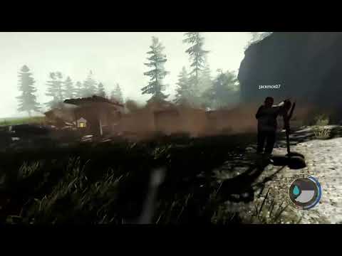 The forest with jack