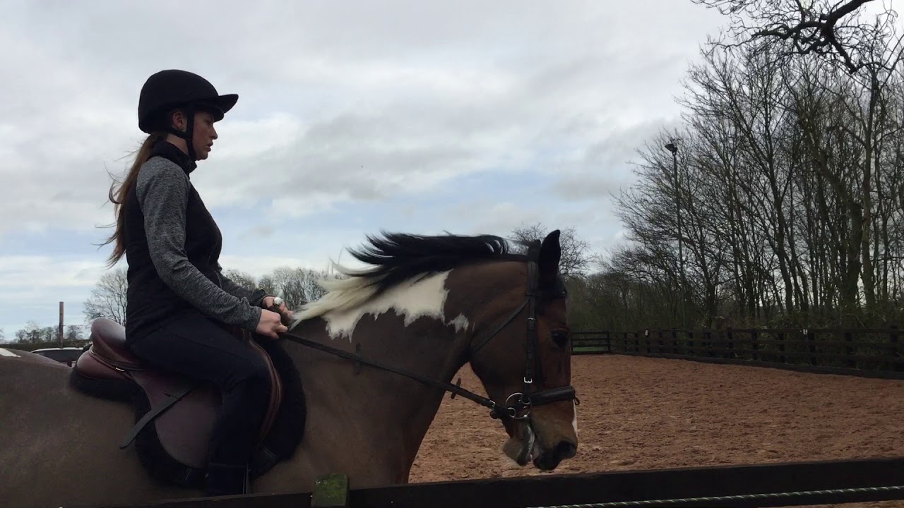 Dressage : Prelim 13 - YouTube