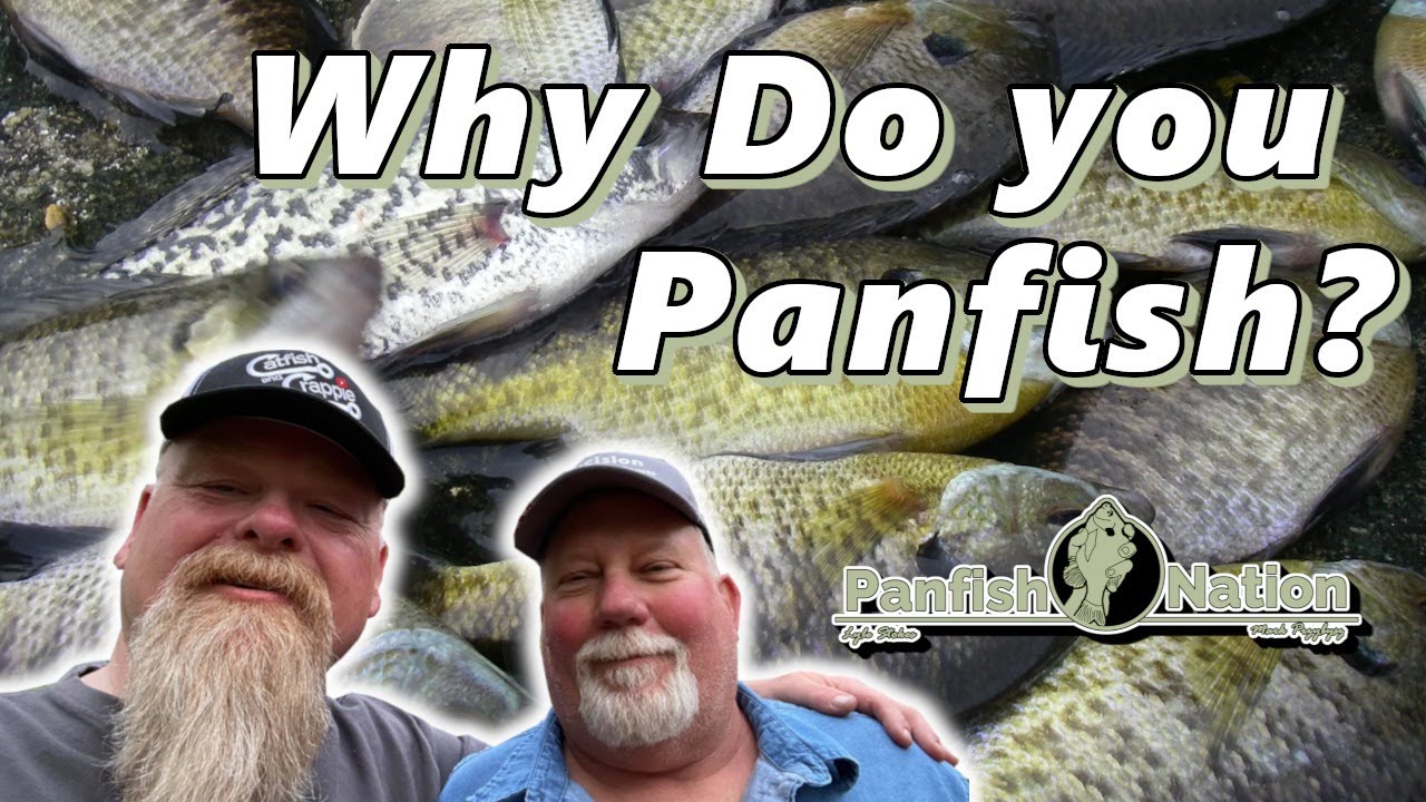 Panfish Nation Episode 136 Why do you Panfish? - YouTube