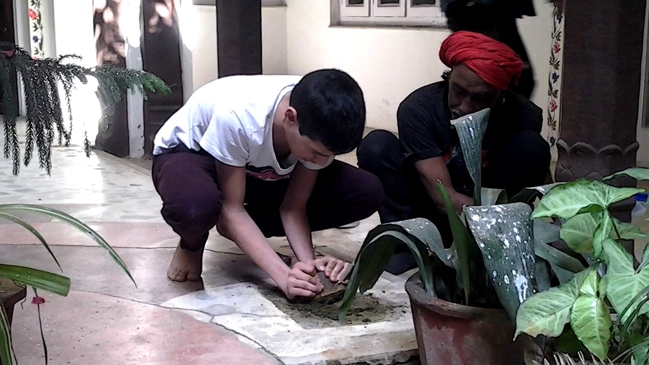 Tara fait du bhang - YouTube