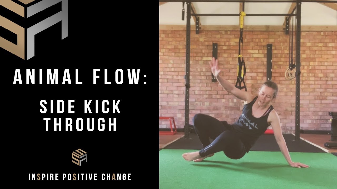 Animal Flow Demo: Side Kick Through - YouTube