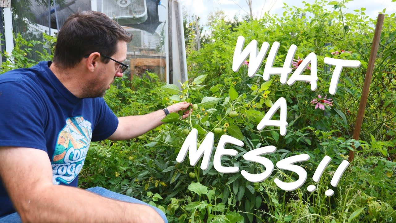 Cleaning Up the Failed Herb Garden | Poop Squash Update - YouTube