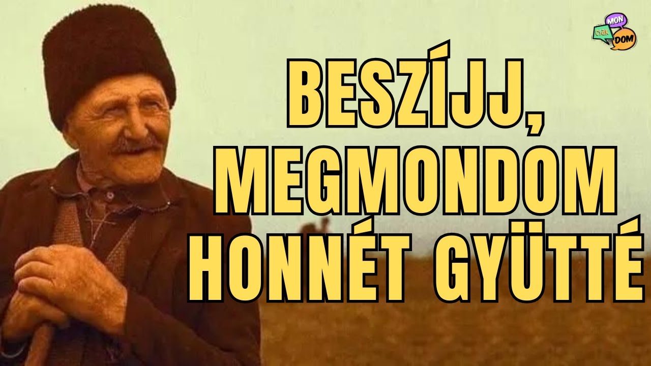 Teszteld magad 🤔 mennyire ismered a TÁJSZÓLÁSOKAT - YouTube