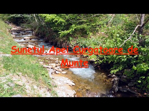 Sunetul Apei Curgatoare de Munte - YouTube