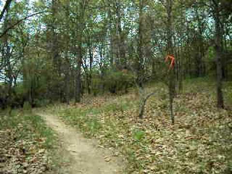 Luton Park - Yellow Loop Mountain Biking Trail - Rockford Michigan.AVI ...