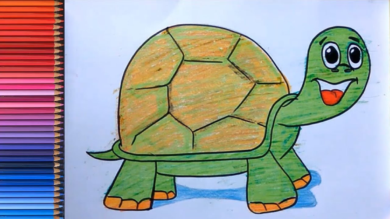 How To Draw And Color Tortoise | Learn Oil Pastel Coloring For Tortoise ...